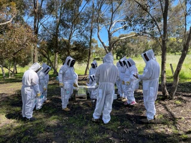 Supported Employment & Pathways