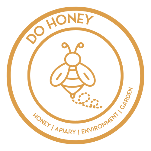 Supported Employment & Pathways