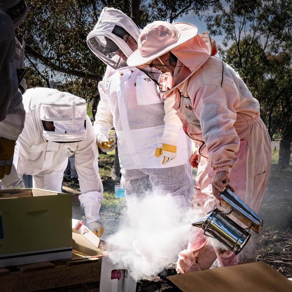 Supported Employment & Pathways