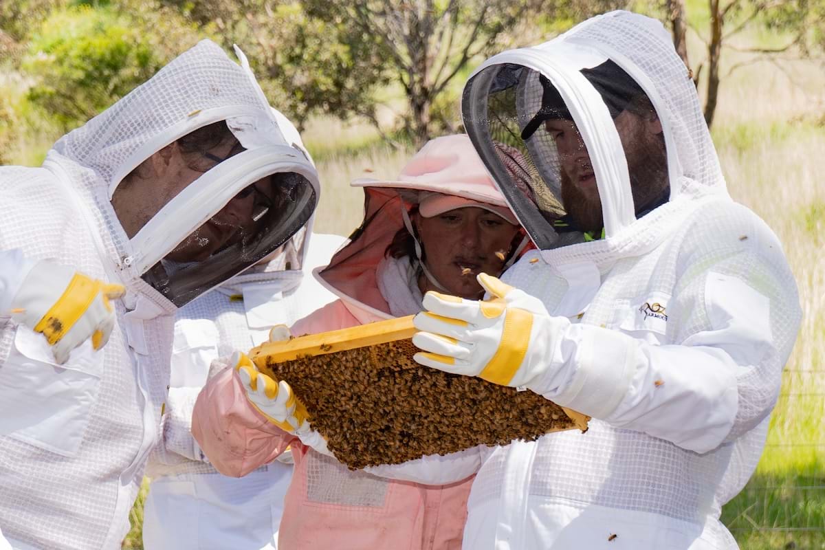 Distinctive Options | Home