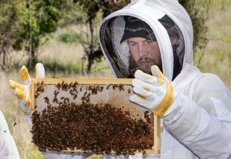 Distinctive Options | Home