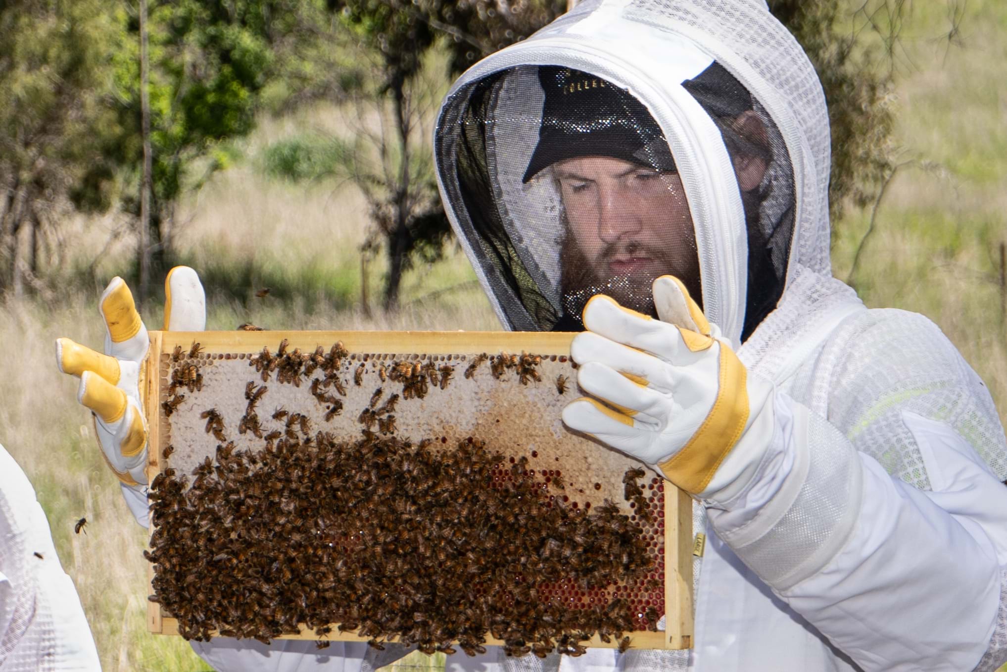 Disability Support Service